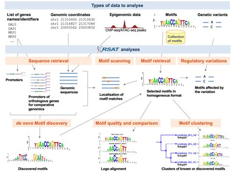 Overview Of The Main Applications Of Rsat With Associated Input Data Download Scientific