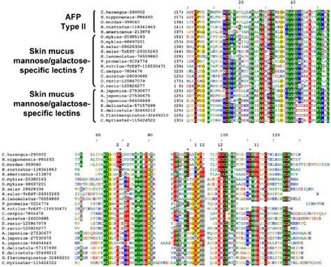 Sequence Alignment Of Type Ii Afps And Most Closely Related Download Scientific Diagram