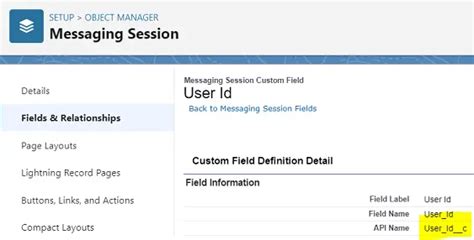 Salesforce Messaging For In App And Web Hidden Pre Chat From Experience Cloud Site