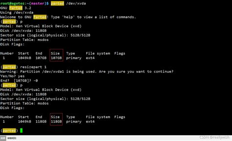 Linux根目录分区扩容parted 扩容根分区 Csdn博客