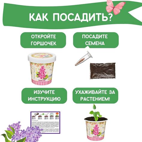 Набор для выращивания растений Rostok Visa Вырасти сам Сирень ...