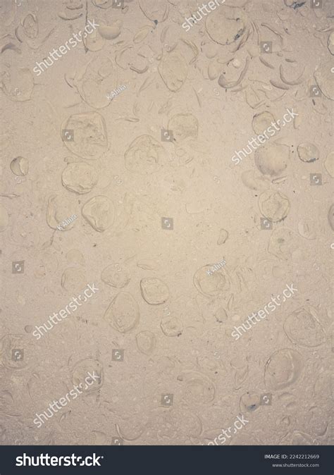 Different Types Textures Wall Interior Stock Photo 2242212669 Shutterstock