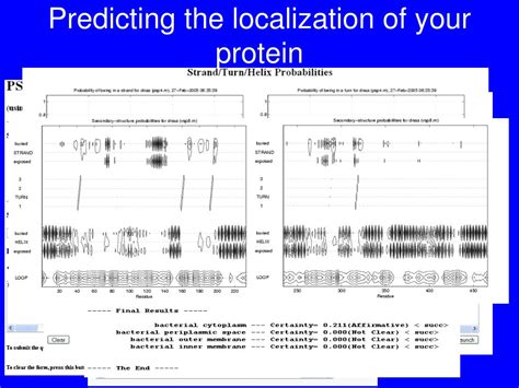 Ppt Predicting Protein Properties And Structure Powerpoint