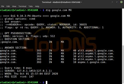 Linux Dig Command How To Install It And Use It ClouDNS Blog