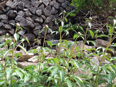 돈을 다 잃어 버리는 것이더라 네이버 블로그