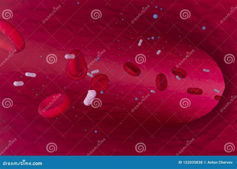 Erythrocyte Under A Microscope Stock Illustration Illustration Of