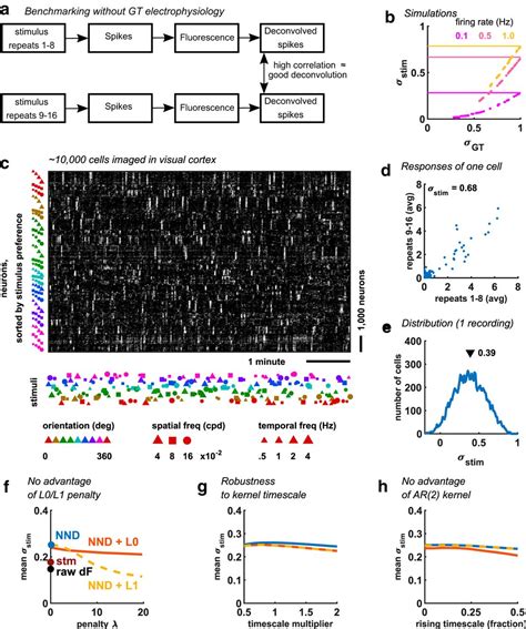 Robustness Of Spike Deconvolution For Neuronal Calcium Imaging
