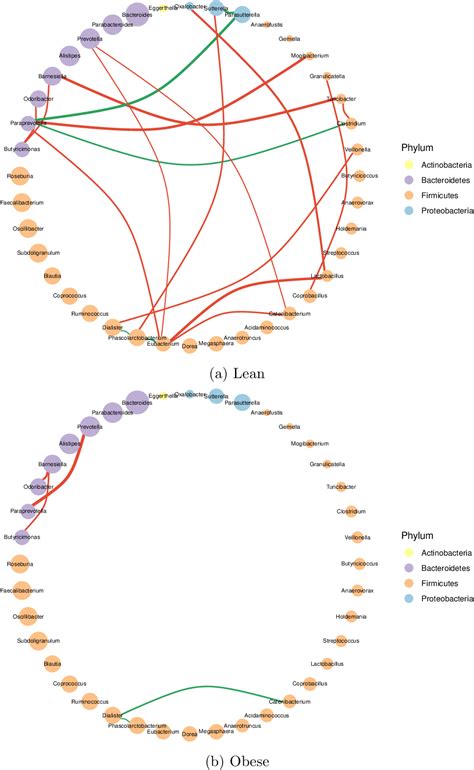 Care Large Precision Matrix Estimation For Compositional Data Paper