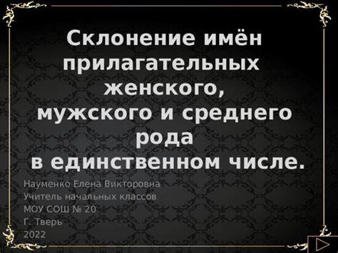 Презентация тренажёр Склонение имён прилагательных женского мужского и среднего рода в