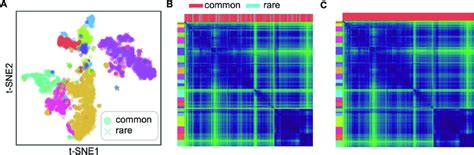 Knn Rare Transcriptomic Profile Detection On The Zeisel Et Al 53