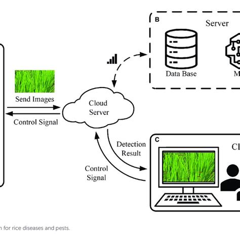 blockchain based federated learning download scientific diagram