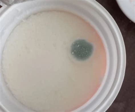 Мъж си купи от Кауфланд кисело мляко Лактима Балкан отвори го и побесня снимки