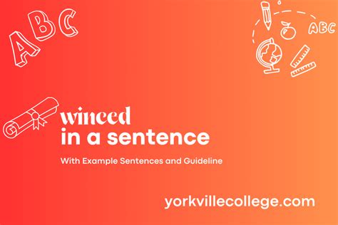 How To Use Winced In A Sentence Easy Examples