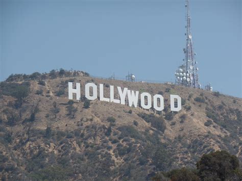 헐리우드 사인 Hollywood Sign Cookpq