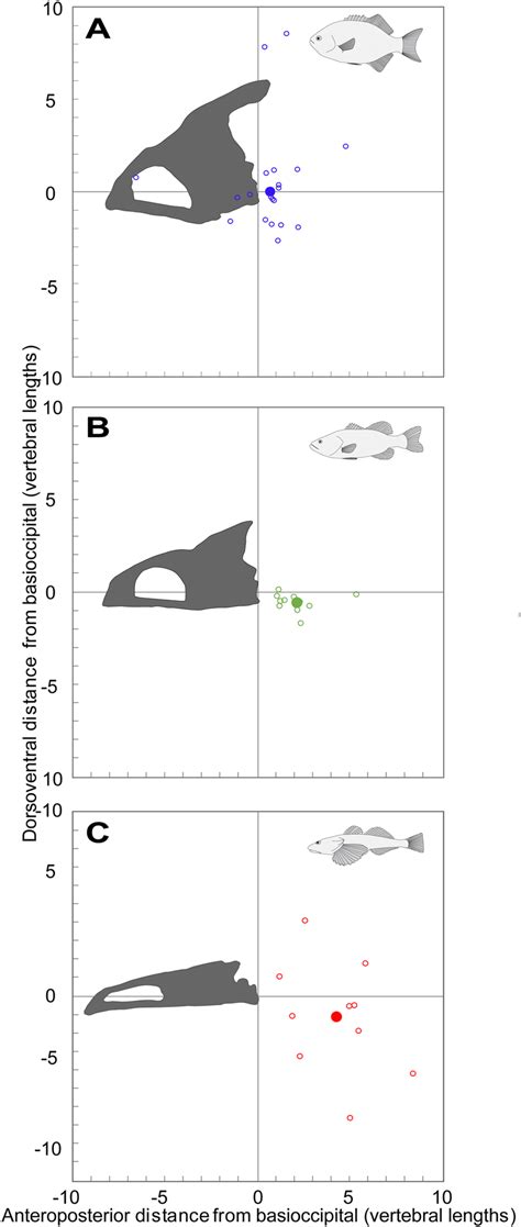 Normalized Aor Position For Each Species The Position Of The Aor For