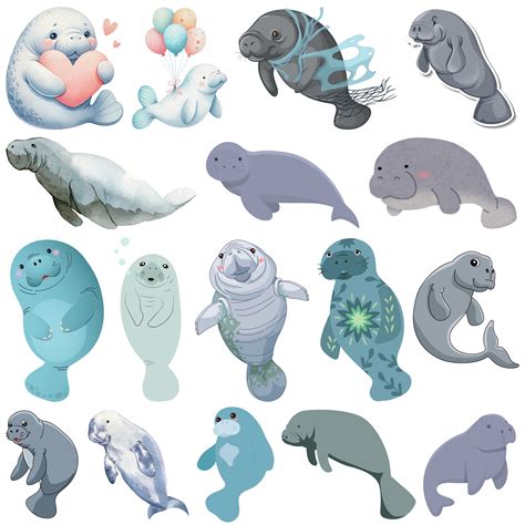 Manatee Svg Bundle Manatee Vector Manatee Outline Manatee Clipart