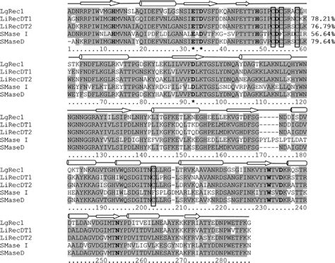 Multiple Alignment Analysis Of Deduced Amino Acid Sequences Of Lgrec1