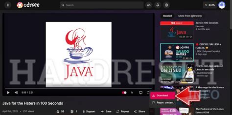 How To Download Video From Odysee
