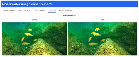 github vidushi gupta underwater image enhancement major project for