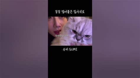 꽁꽁 얼어 붙은 한강 위로 Youtube