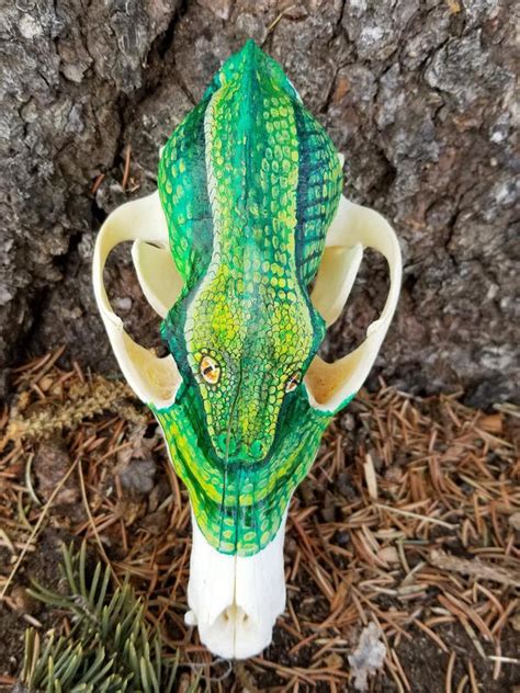 Green Tree Python On Coyote Skull By Gray Ghost Creations On Deviantart
