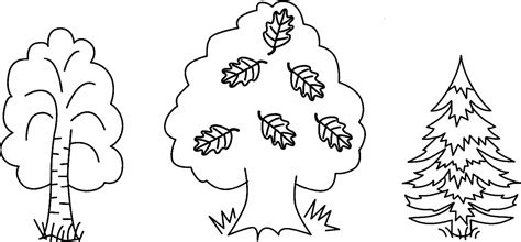 Распечатать Деревья 70 фото