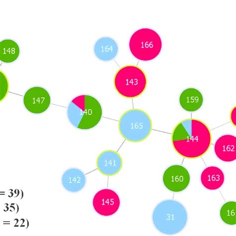 minimum spanning tree mst showing relationships of the 96 b
