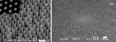 a scanning electron micrograph of a gan nanorod array consisting of 1