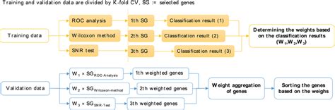 In Our Soft Ensembling Method Between Selected Genes The Following
