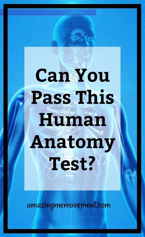 Can You Pass This Human Anatomy Test Take It Now Artofit
