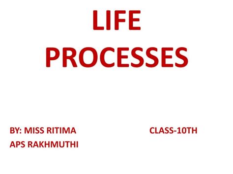 Life Processes Class 10th Ppt Pptx