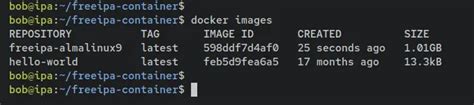 How To Install Freeipa Server With Docker On Debian 12