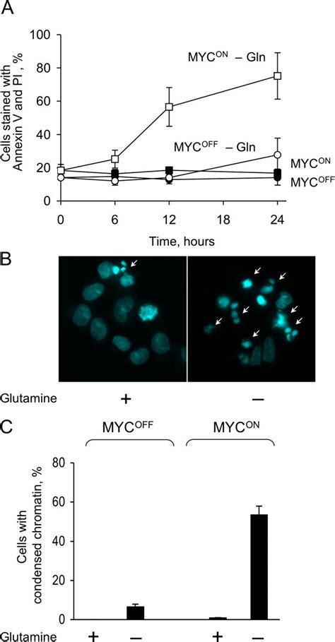 Glutamine Deprivation Induces Myc Dependent Apoptosis A Ier Myc