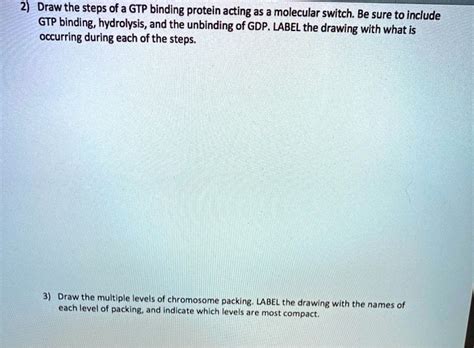 Solved Draw The Steps Of A Gtp Binding Protein Acting As A Molecular Switch Be Sure To Include