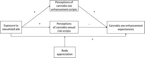 The Impact Of Sexual Scripts In Brandgenerated Cannabis Social Media Posts On Sexrelated