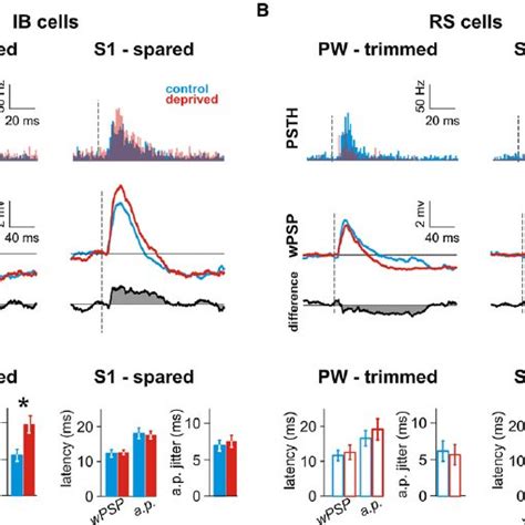 Temporal Properties Of The Receptive Fields Are Differentially Affected Download Scientific