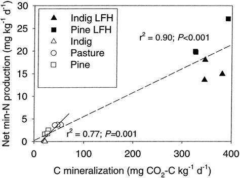 Relationship Between Net Mineral N Production And C Mineralization Download Scientific Diagram