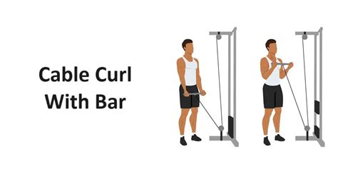Cable Curl With Bar Technique Benefits Variations And More Explained Save Dollar