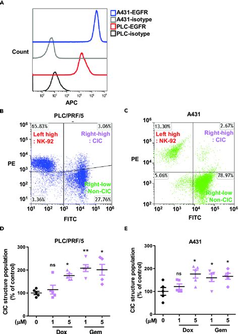 Analysis Of Heterotypic Cic Structures Between Egfr Overexpressing Download Scientific Diagram