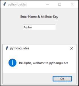 Python Tkinter Entry How To Use Python Guides