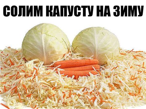 СОЛИМ КАПУСТУ НА ЗИМУ Ok Ru Капуста Полезные советы Рецепты
