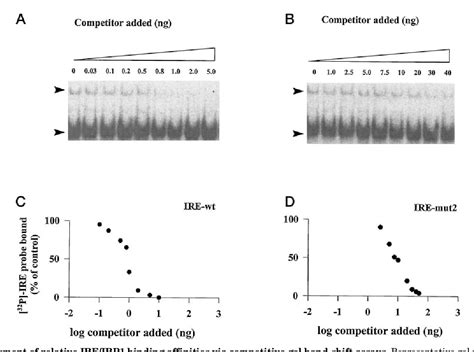 Figure 2 From The Position Dependence Of Translational Regulation Via Rna Rna And Rna Protein