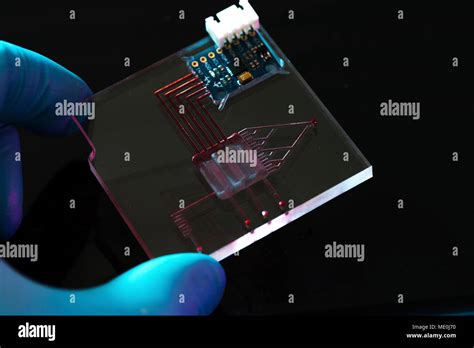 Lab On A Chip LOC Stock Photo Alamy