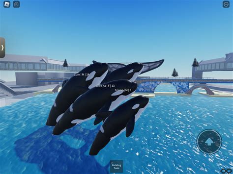 Moanifoonoserena And Zum 1995 By Moophaxkokoro On Deviantart