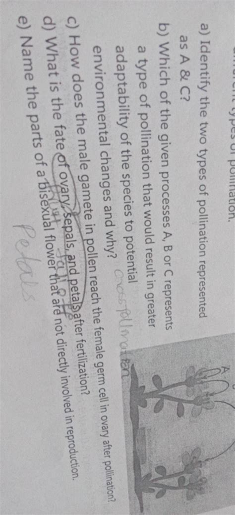 A Identify The Two Types Of Pollination Represented As Aandc B Which Of