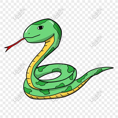 녹색 혀 튀어 나와 뱀 일러스트 레이션 Png 일러스트 무료 다운로드 Lovepik