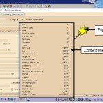 Batch Management Configuration In SAP MM