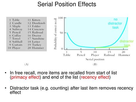 PPT - Memory III Working Memory & Brain PowerPoint Presentation - ID:386691