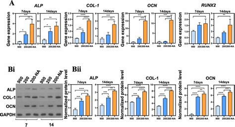 The 200 Na Group Microspheres Had More Ideal Osteogenic Download
