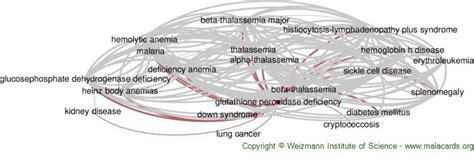 Glutathione Peroxidase Selenium
